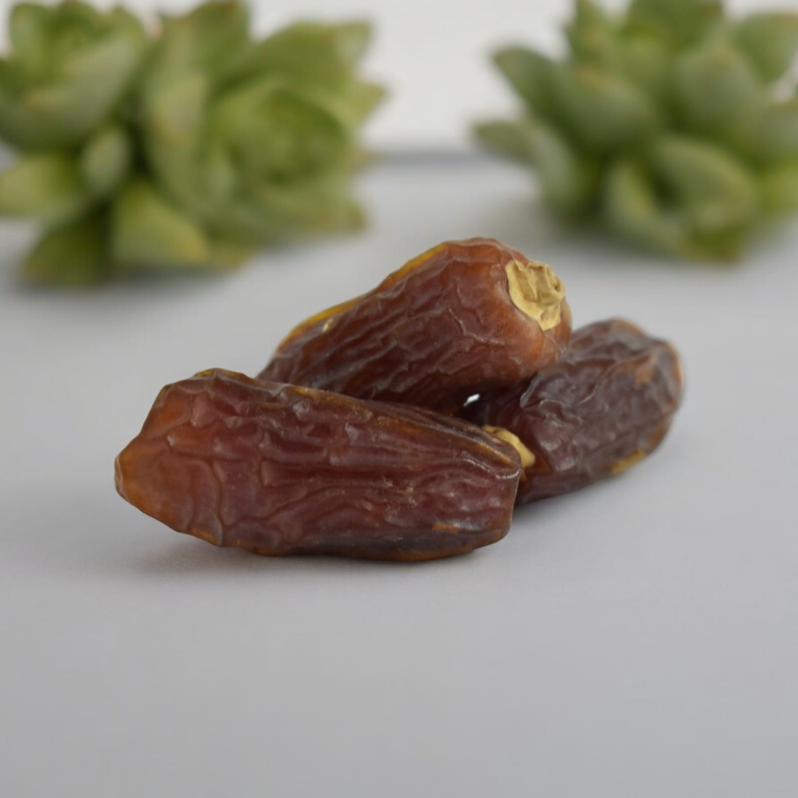 Our Produce – Medina Dates Factory